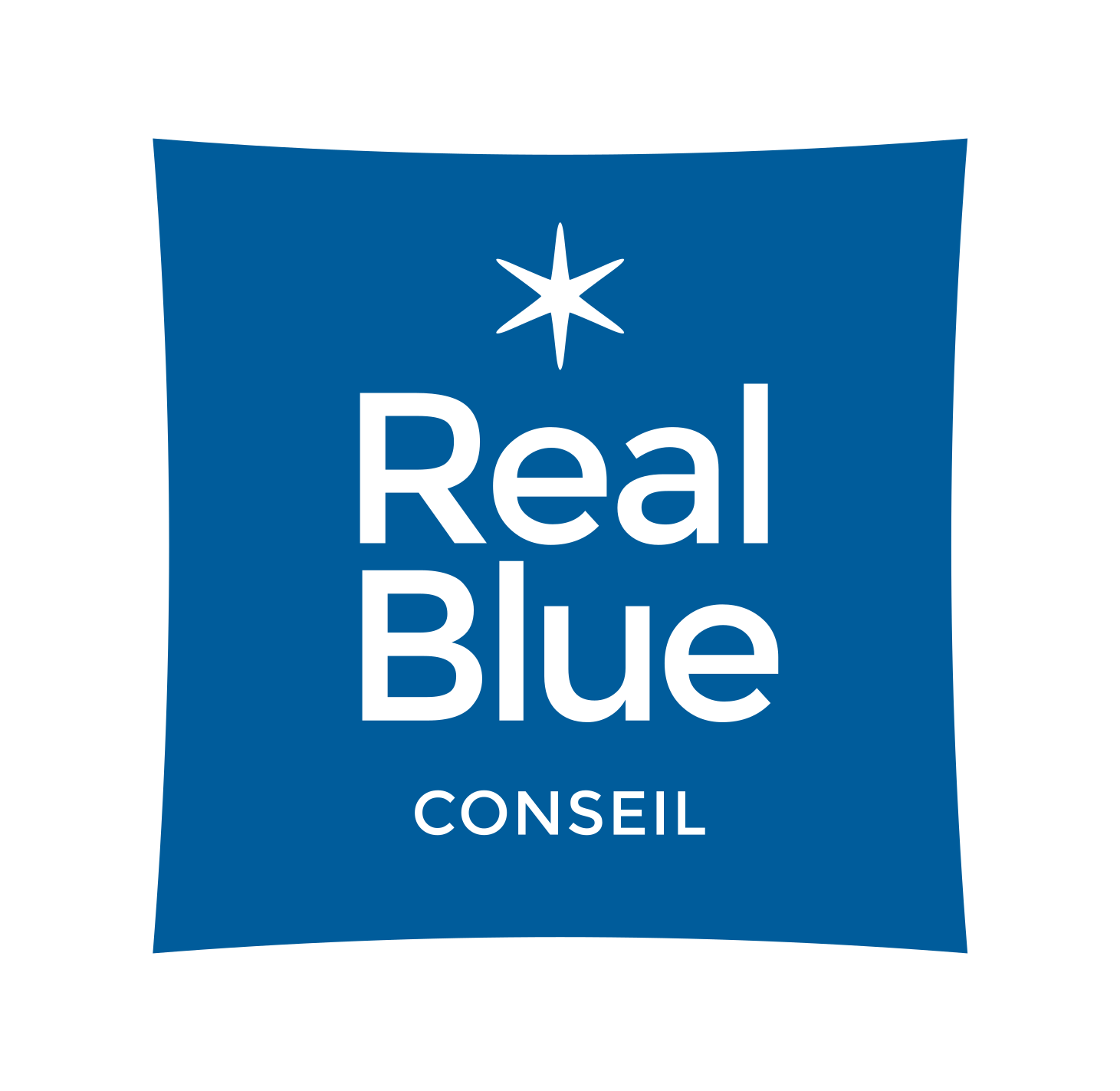 Qui sommes-nous ? - REAL BLUE CONSEIL